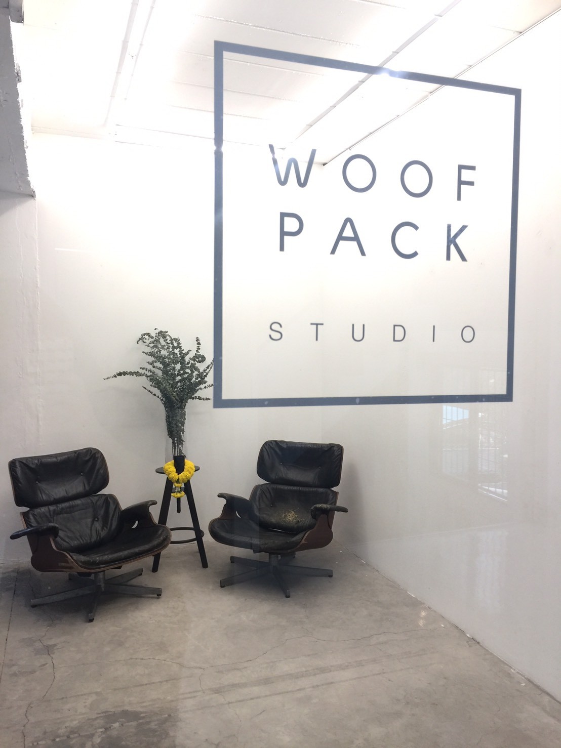 Woof Pack - Jobs, Reviews, Photos | WorkVenture