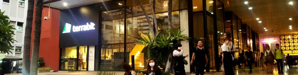 Terrabit - Jobs, Reviews, Photos | WorkVenture