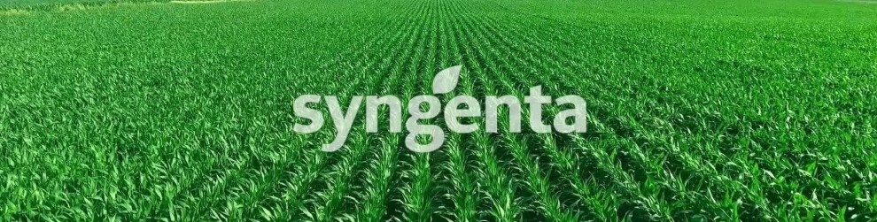 Syngenta Crop Protection - Jobs, Reviews, Photos | WorkVenture