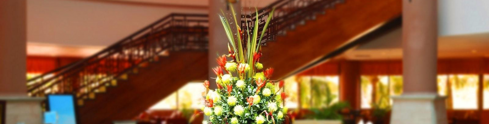 HMC Reviews in Bangkok | WorkVenture