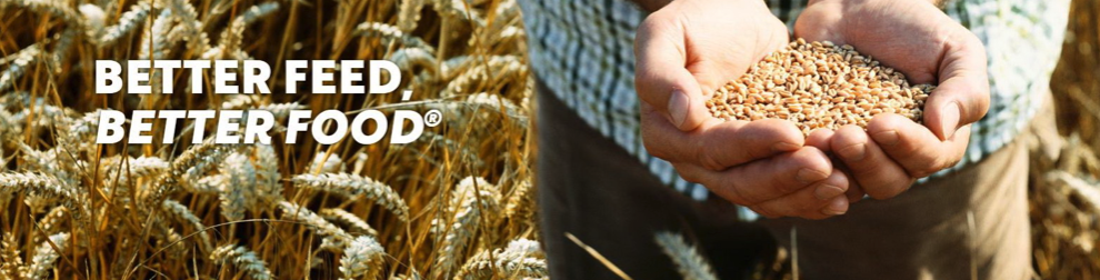 สมัครงาน เบนโทลิ | สมัครงาน Bentoli Agrinutrition Co., Ltd.