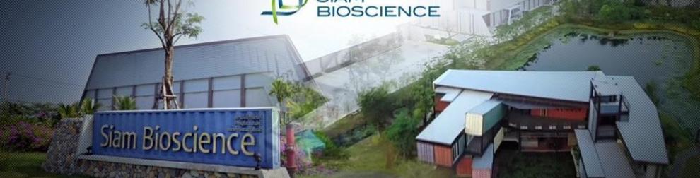 Apexcela - Jobs, Reviews, Photos | WorkVenture