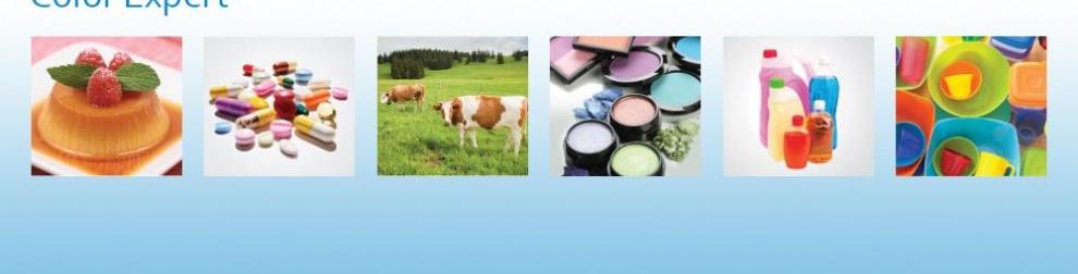 Roha Dyechem Thailand Office Photos in Bangkok | WorkVenture