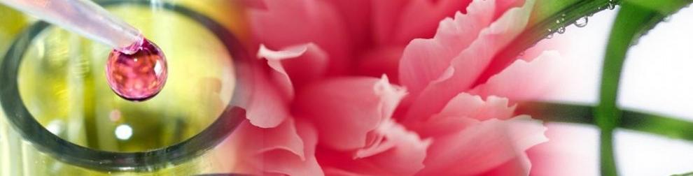 V Mane Fils Thailand - Jobs, Reviews, Photos | WorkVenture