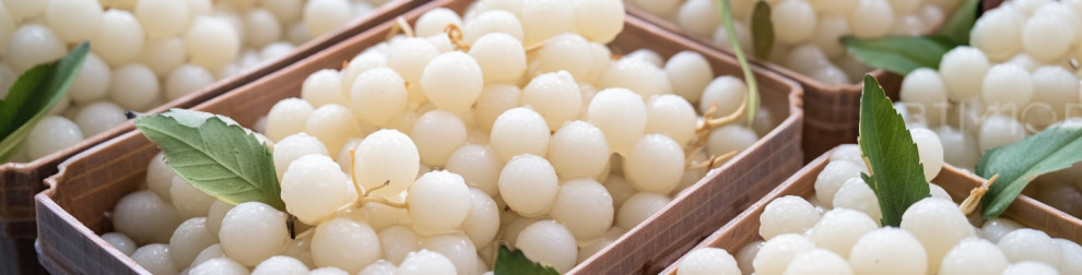 Fruitdee - Jobs, Reviews, Photos | WorkVenture