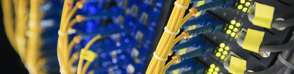 Indigo - Jobs, Reviews, Photos | WorkVenture