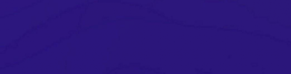 Indigo - Jobs, Reviews, Photos | WorkVenture