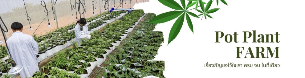 Pot Plant Farm - Jobs, Reviews, Photos | WorkVenture