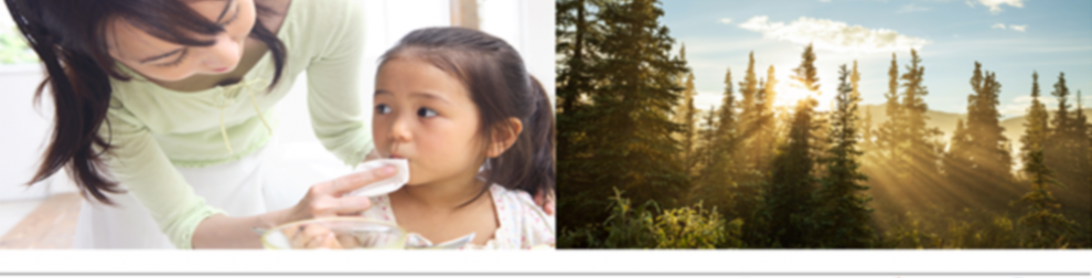 สมัครงาน ริเวอร์โปร์ พัลพ์ แอนด์ เพเพอร์ จำกัด | สมัครงาน Riverpro Pulp ...