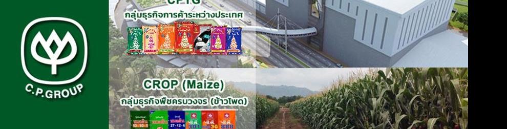 CPTG CROP Maize - Jobs, Reviews, Photos | WorkVenture