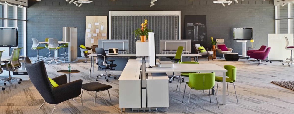 Jobs at 9 Zebra in Bangkok | WorkVenture